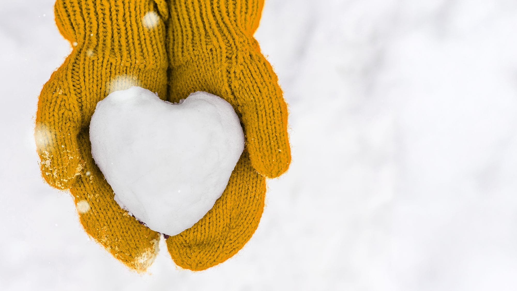 Find bachelor’s degree programmes - Kaakkois-Suomen ammattikorkeakoulu Xamk